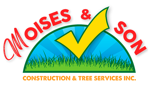 Moises & Son - Construction and Tree Services